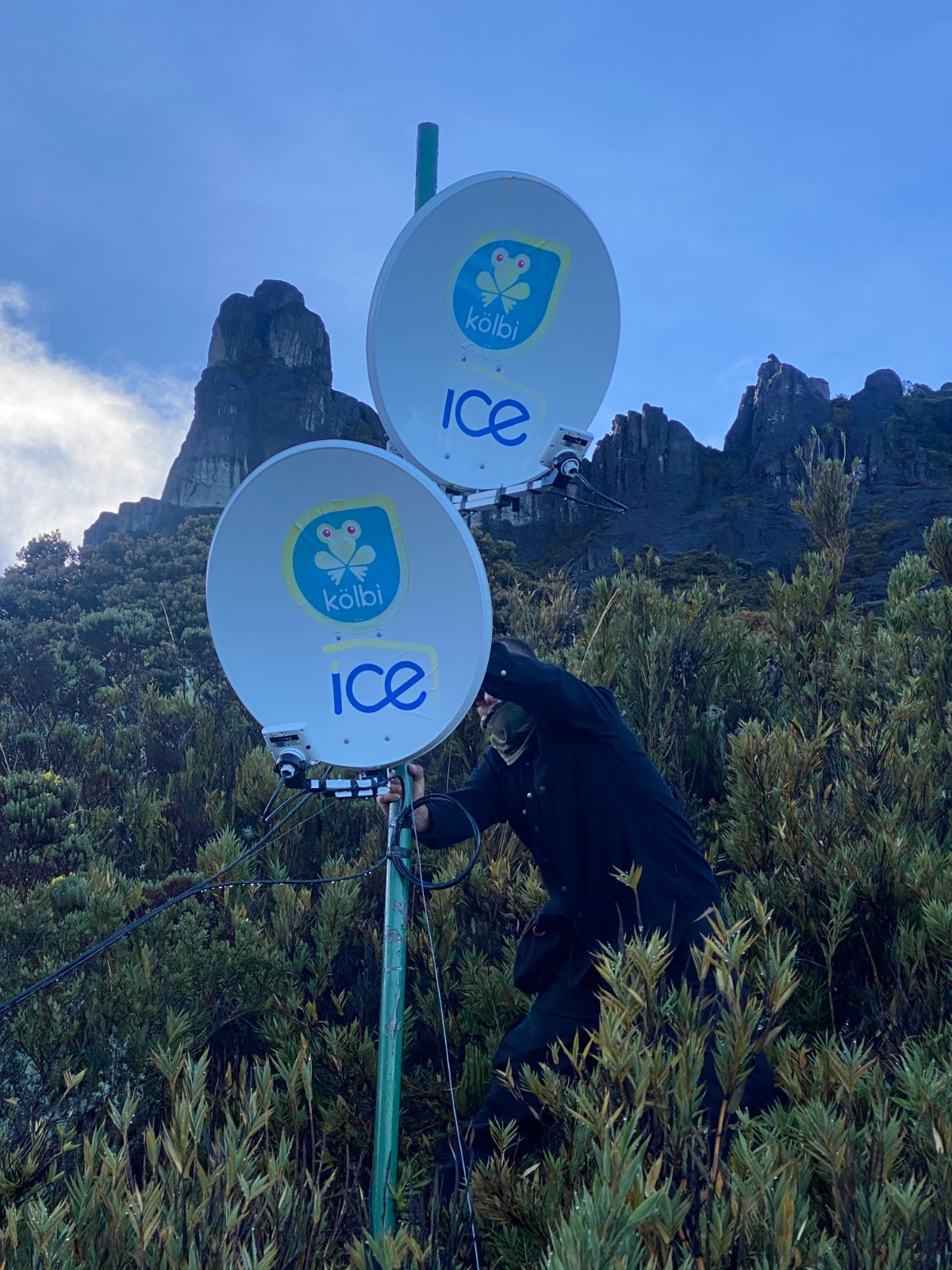 Case Study: +1500 units of DLB ECHO 5D | LigoBLOG